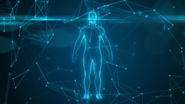 Rotating Male Body Scan, Motion Graphics | VideoHive