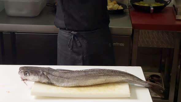 Chef presents a big hake ready to be cut and cleaned up, Stock Footage