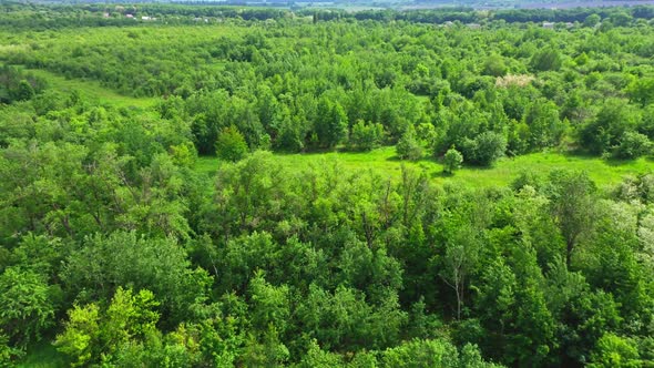 Aerial View Forest In Nature, Stock Footage | VideoHive