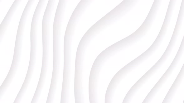 White Background, Motion Graphics | VideoHive