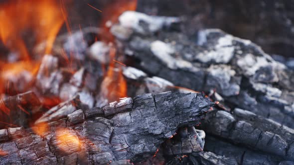 Smoldered logs in fire, Stock Footage | VideoHive