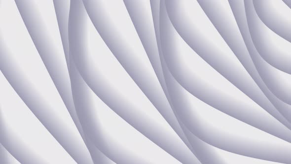 White Background., Motion Graphics | VideoHive