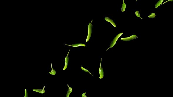 Green Chili Falling With Alpha Channel, Stock Footage | VideoHive