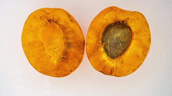 Rotting Apricot Time Lapse on a White Background the Spread and Growth ...