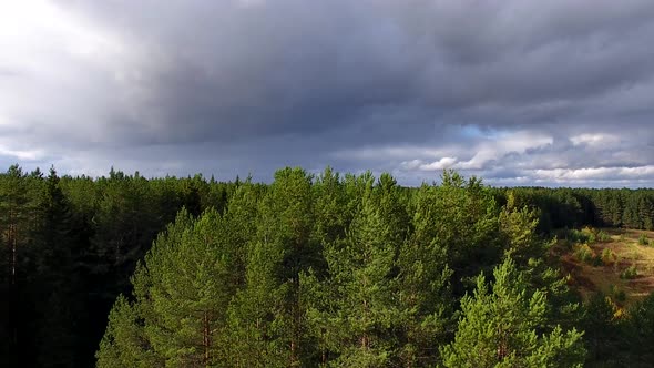 Camera Rises Vertically Above Forest, Stock Footage | VideoHive