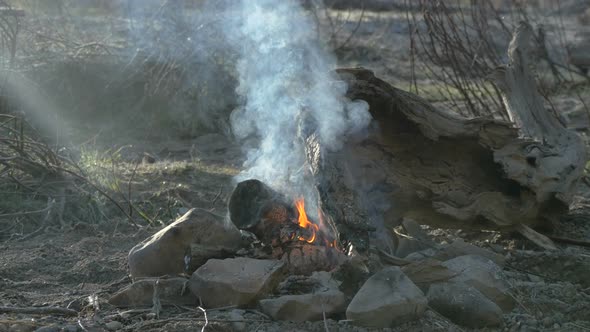 Smoking camp fire, Stock Footage | VideoHive