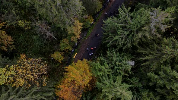 Autumn Hiking Trail Overhead Forest in Mountains, Stock Footage | VideoHive