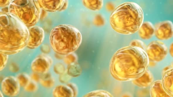 3D Medical Animation of cell division, Motion Graphics | VideoHive