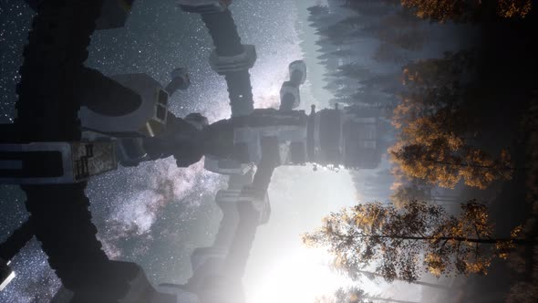 UFO Hovering Over Forest, Motion Graphics | VideoHive
