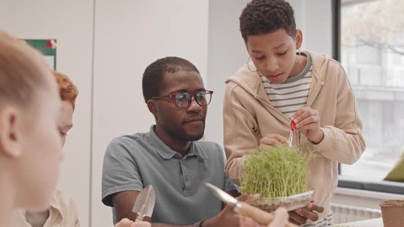 Growing Sprouts at School, Stock Footage | VideoHive