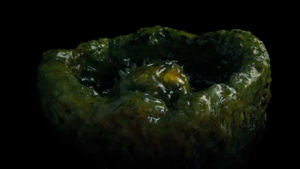 Slimy Alien Moves In Huge Egg, Stock Footage | VideoHive