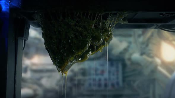 Alien Egg Sack On Ceiling Of Spaceship, Stock Footage | VideoHive