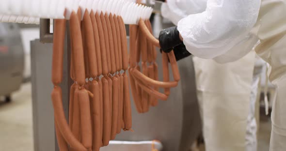 Food Industry, Meat Production, Woman Workers in Protective Uniforms at ...