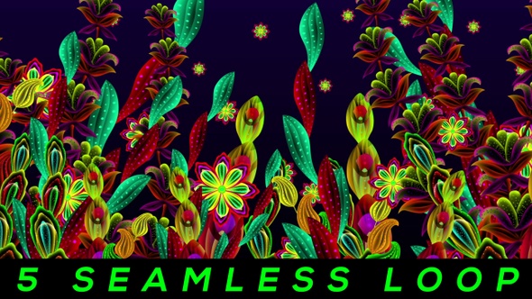 Flower Festivals, Motion Graphics | VideoHive