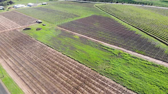 Aerial View of a Farm Crops in Australia, Stock Footage | VideoHive