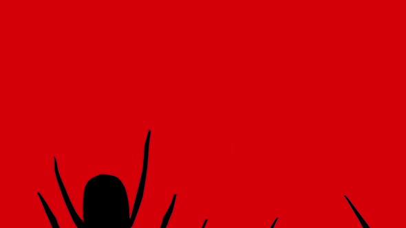 Spiders Overlay on Alpha Channel Background, Motion Graphics | VideoHive