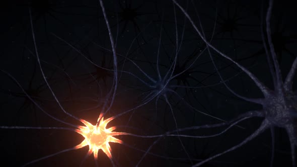Neurons fly through, Motion Graphics | VideoHive