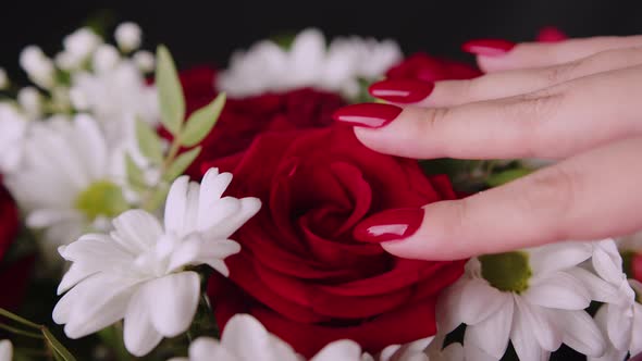 Woman's hand touching rose., Stock Footage | VideoHive