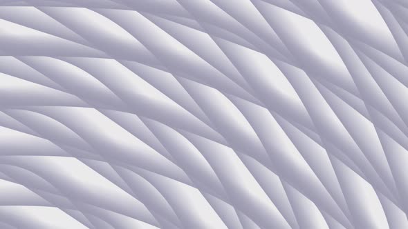 White Background, Motion Graphics | VideoHive