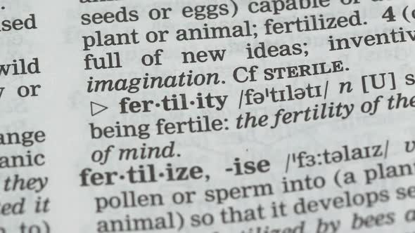Fertility Word in English Dictionary Female Healthcare and Babybirth ...