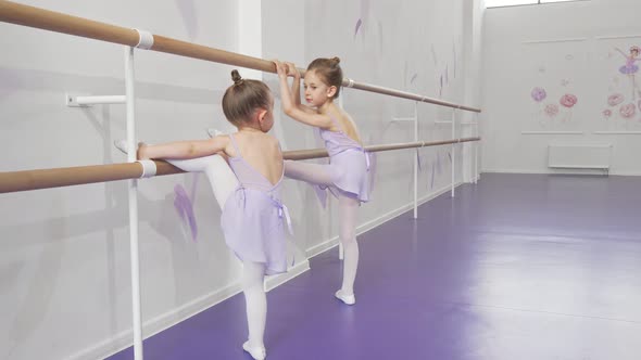 Two Cute Little Ballerinas Stretching at Ballet School Together, Stock ...