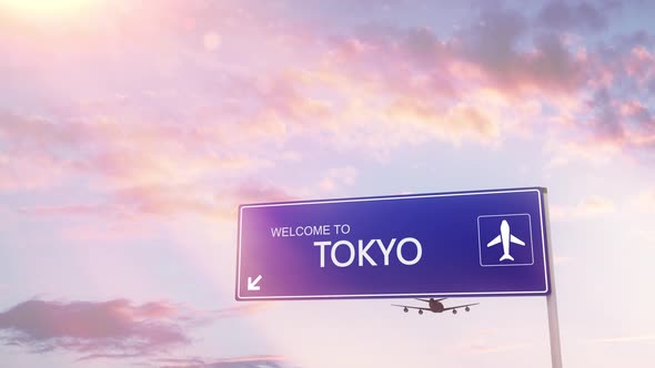 Tokyo City Sign Plane Landing in Daylight by EnesM | VideoHive