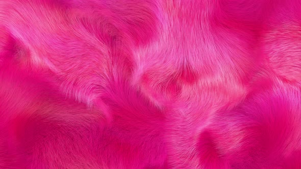 Hot Pink Fluffy Fur Texture, Motion Graphics | VideoHive