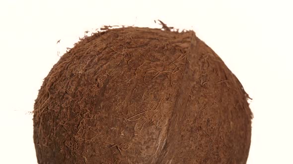 Top of Coconut Isolated on White, Rotation, Stock Footage | VideoHive