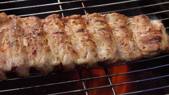 Super Closeup of the Spiced Ribs Placed on the Grill Grid, Stock Footage