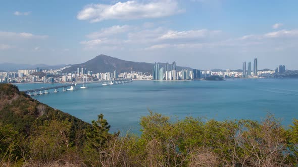 Timelapse Busan Bay with Sailing Boats Against Skyscrapers, Stock Footage