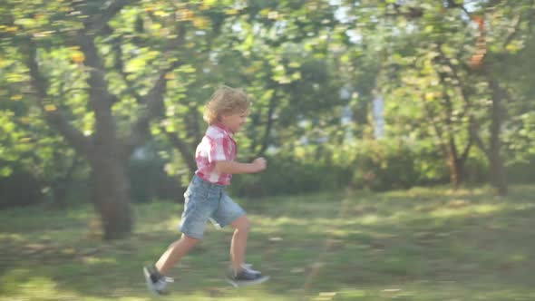 Side View Joyful Redhead Little Boy Running in Sunshine in Spring ...