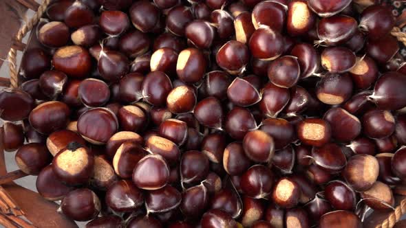 Chestnuts Falling, Stock Footage | VideoHive