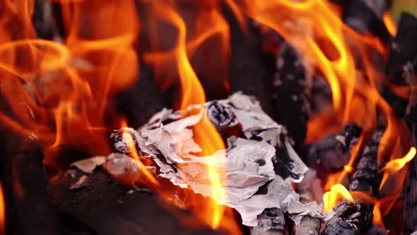 Embers of paper in fire, Stock Footage | VideoHive