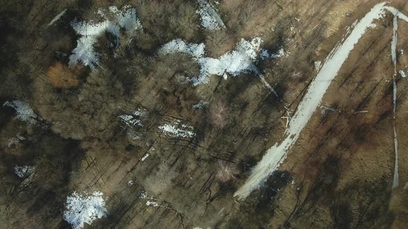 City park in spring. Spring cityscape. Aerial photography., Stock Footage