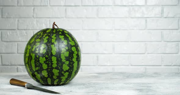 A Whole Watermelon Dripping Water. , Stock Footage | VideoHive