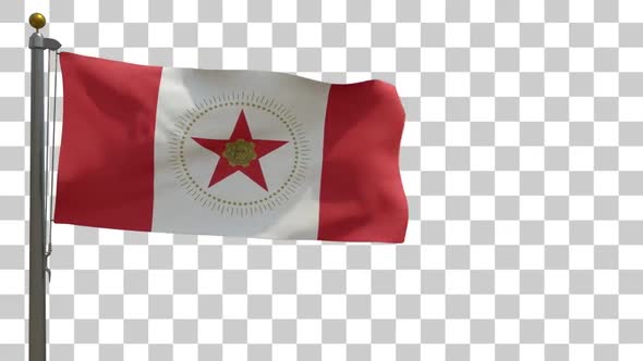 Birmingham City Flag (Alabama) on Flagpole with Alpha Channel, Motion ...