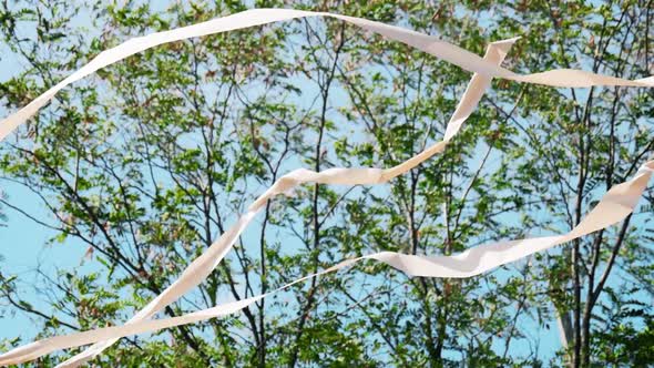 Ribbons Fluttering In The Wind, Stock Footage | VideoHive