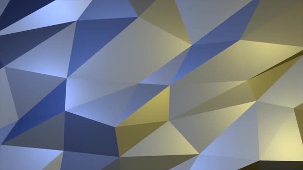 Stylish Creative Abstract white low poly , Motion Graphics | VideoHive