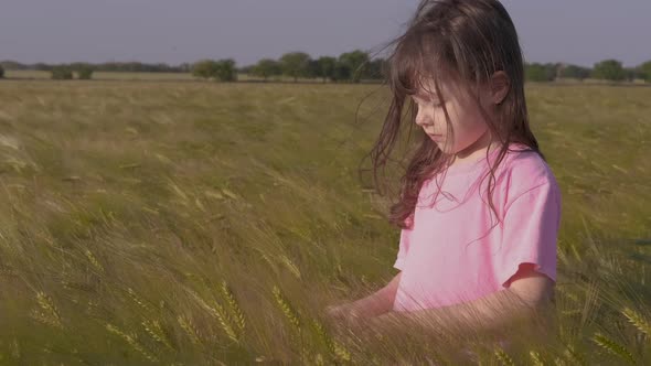 In the middle of rye meadow, Stock Footage | VideoHive