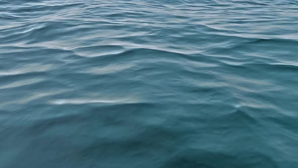 Ocean, Motion Graphics | VideoHive