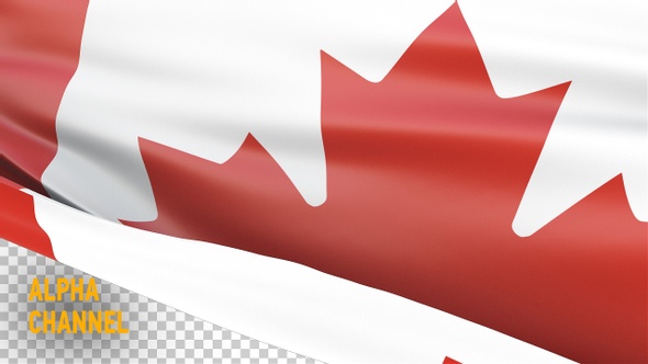 Canada Flag Transition, Motion Graphics | VideoHive