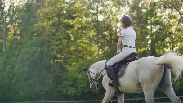 Slow Motion: Horseback Riding From Horsewomen, Stock Footage | VideoHive