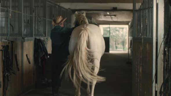 Senior Man Leading Horse Out of Stable, Stock Footage | VideoHive