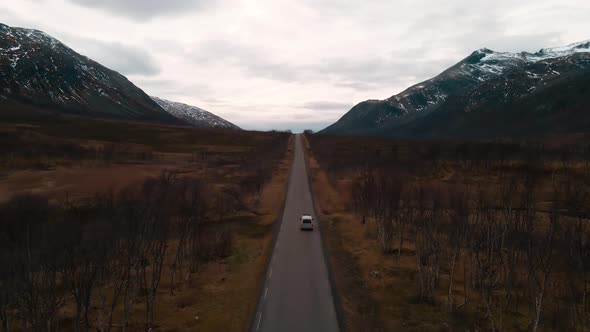 Driving through the dry forest of Tromso Valley in Norway -Wide, Stock ...