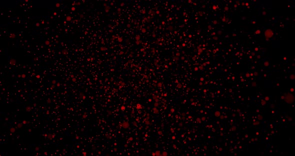 Abstract particle background animation, Motion Graphics | VideoHive