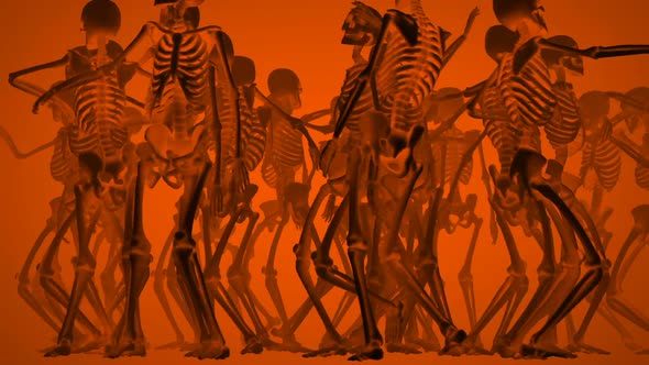 Sexy skeletons in orange, Motion Graphics | VideoHive