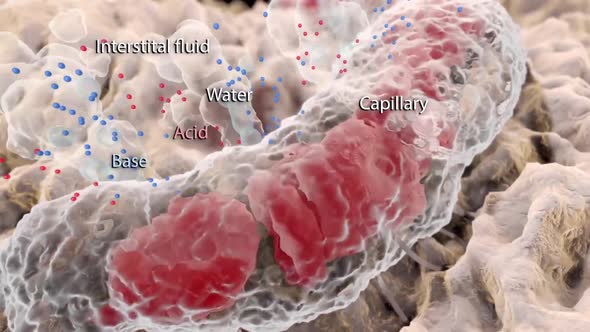 Extravasation, leakage of vesicant fluids or drugs from the vein into ...