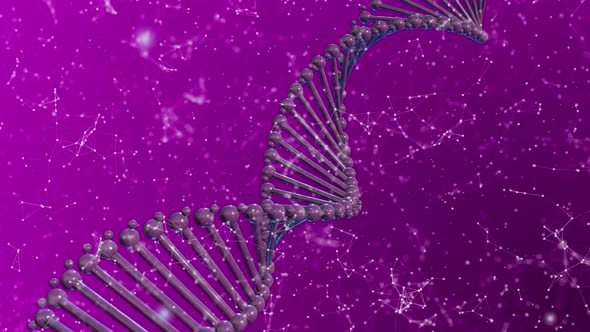 Purple Dna Plexus, Motion Graphics | VideoHive