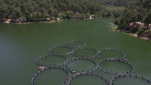 Fish Farm, Stock Footage | VideoHive