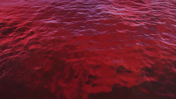 Red Ruby Waves In The Ocean, Motion Graphics | VideoHive